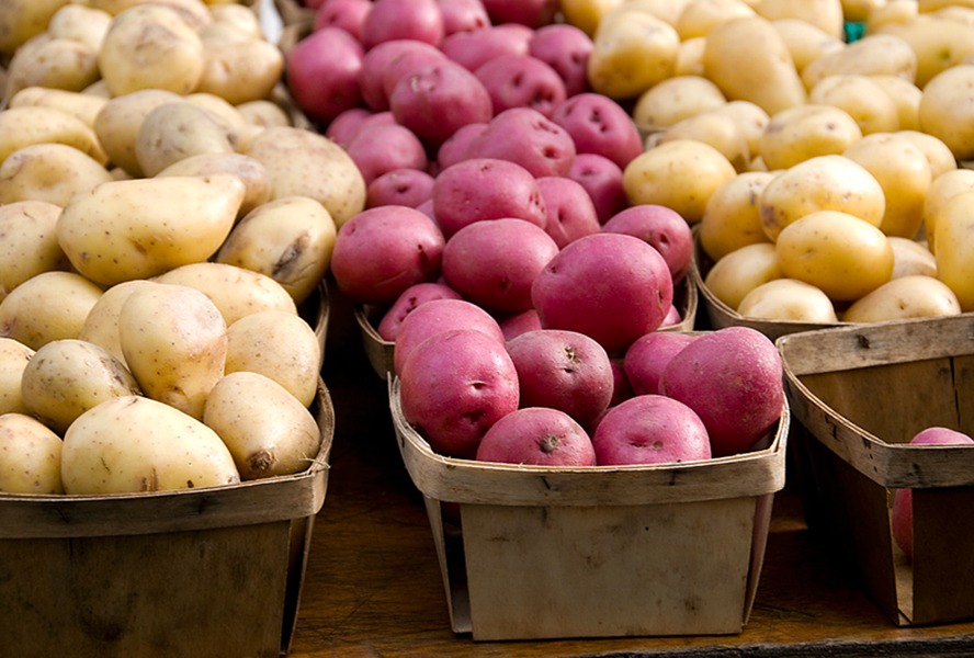 Best What’s In Season? Your Guide To Canadian Fruits And Vegetables ...