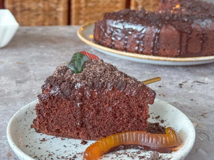 Best Earth Day Mud Cake Recipe | Flavour Network